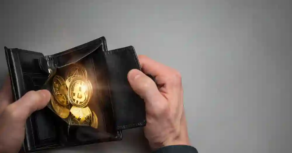 Crypto Wallet: Penjelasan dan Jenis-Jenisnya