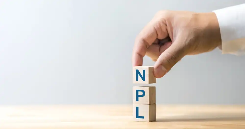 Apa Itu NPL dan Apa Penyebabnya?